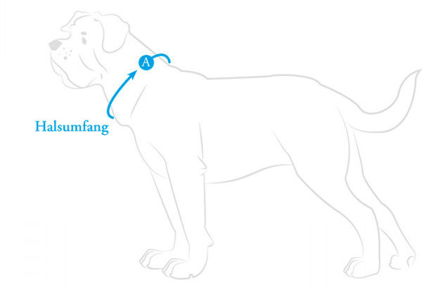 Trixie Cavo Zug-Stop-Halsband