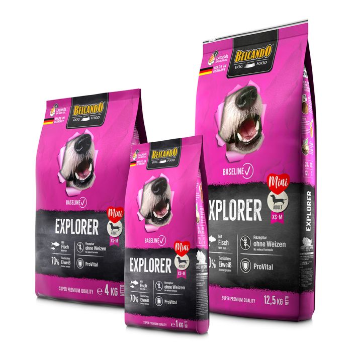 Belcando Baseline Explorer Mini