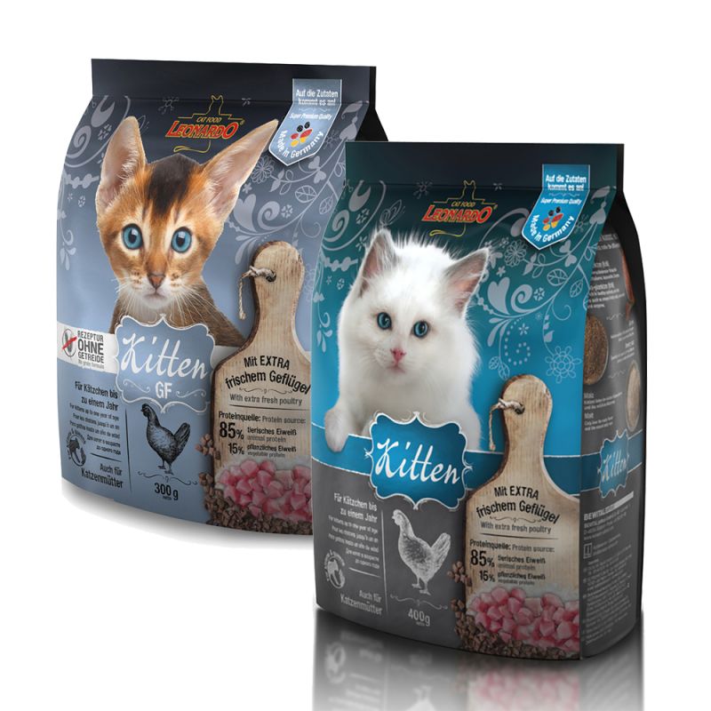 Cat Box Leonardo Kitten