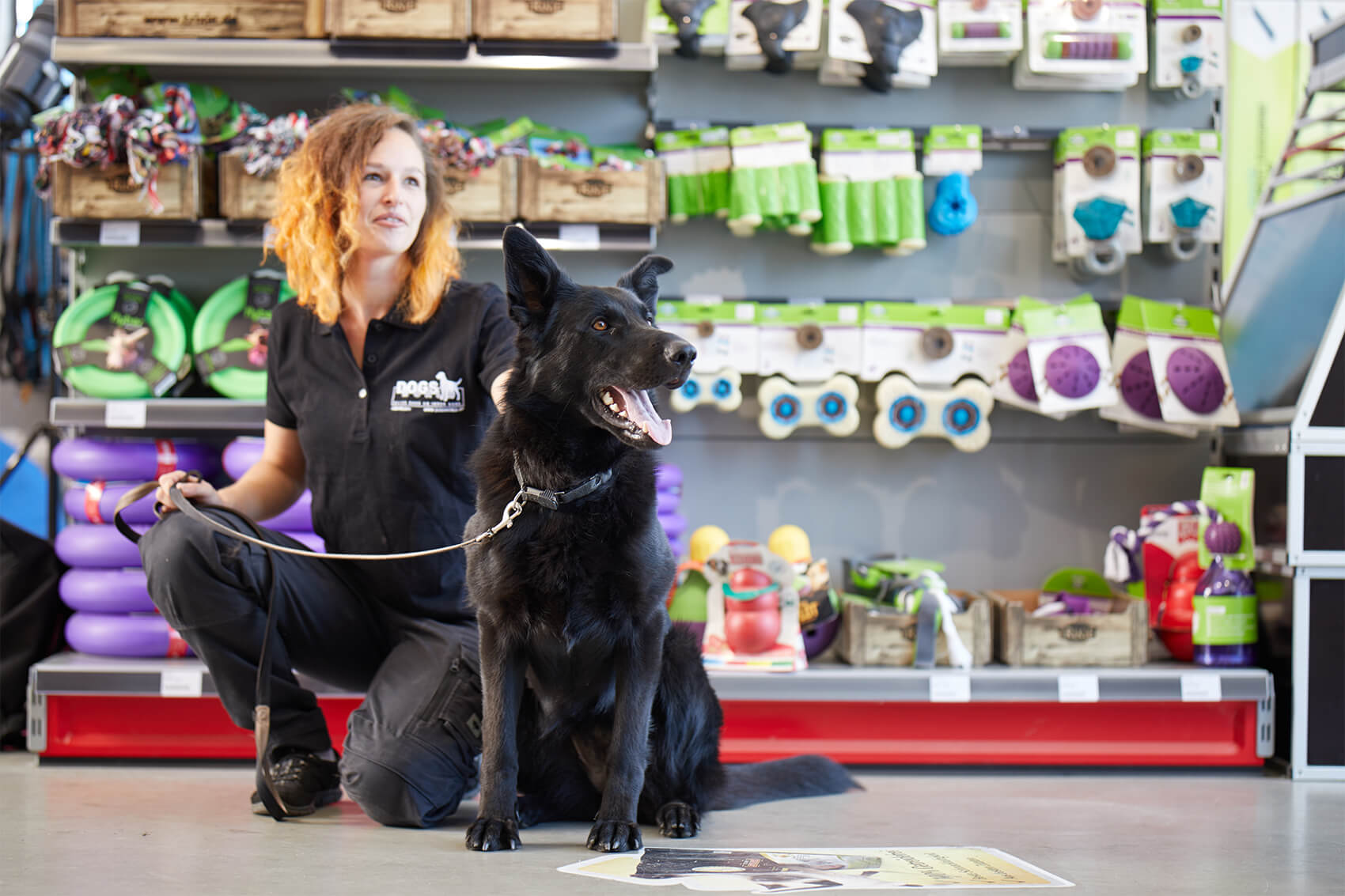 Fachzentrum für Hunde und Katzen | Dogsworld